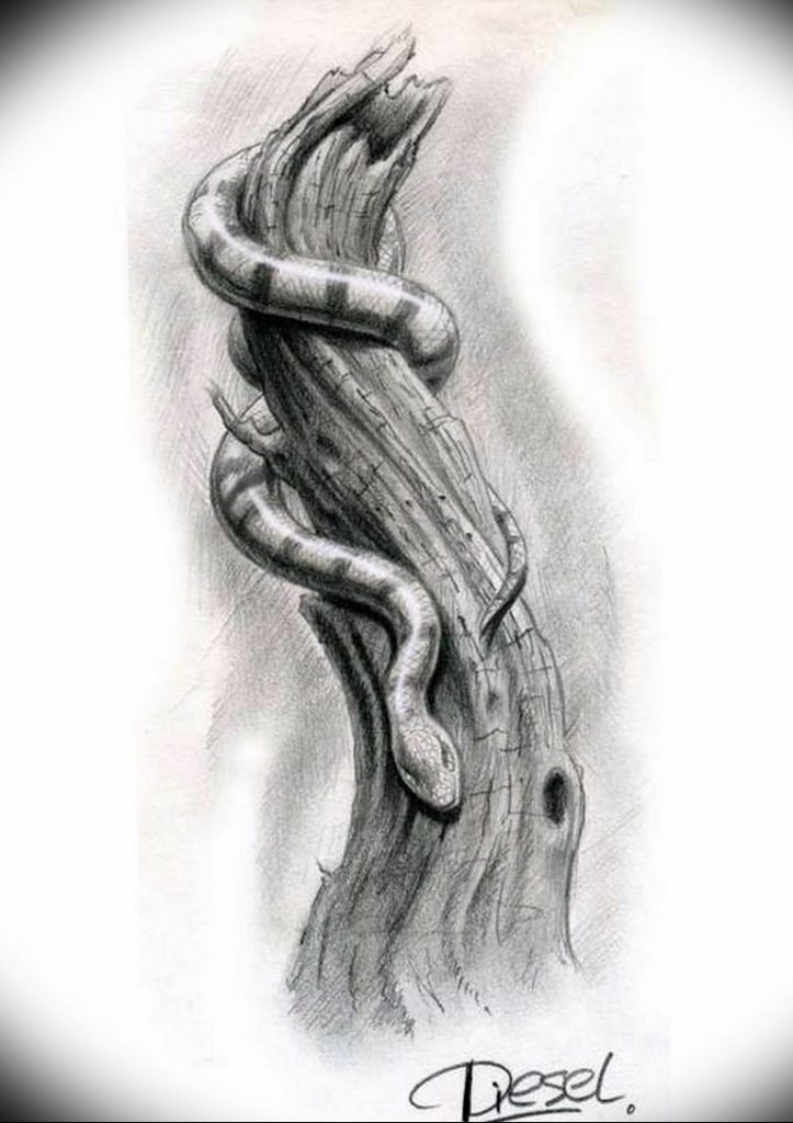 snake tattoo photo 28.01.2019 №315 - snake tattoo idea - tattoovalue.net - tattoovalue.net